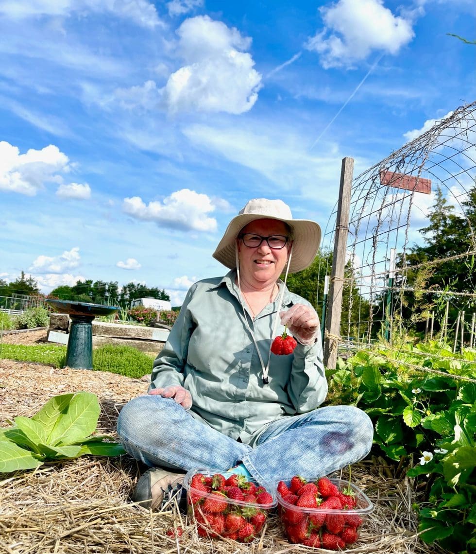 Farm-to-Table Garden Expansion - Covenant Woods